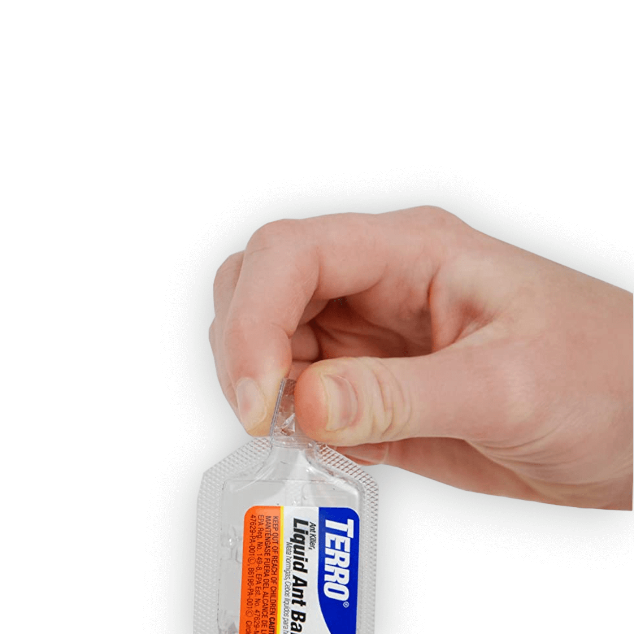 TERRO, Appât Liquide pour Fourmis à Base de Borax (Paquet de 6 ...